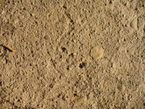 How to Grow Grass on Hard Packed Dirt? - The Backyard Pros