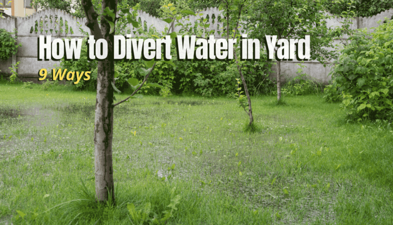 9 Ways How to Divert Water in Yard - The Backyard Pros