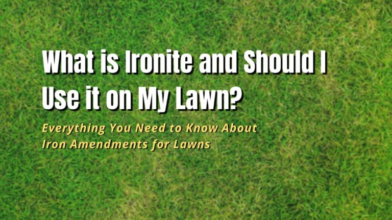 What is Ironite and Should I Use it on My Lawn? - The Backyard Pros
