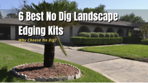 The 6 Best No-Dig Landscape Edging Kits - The Backyard Pros