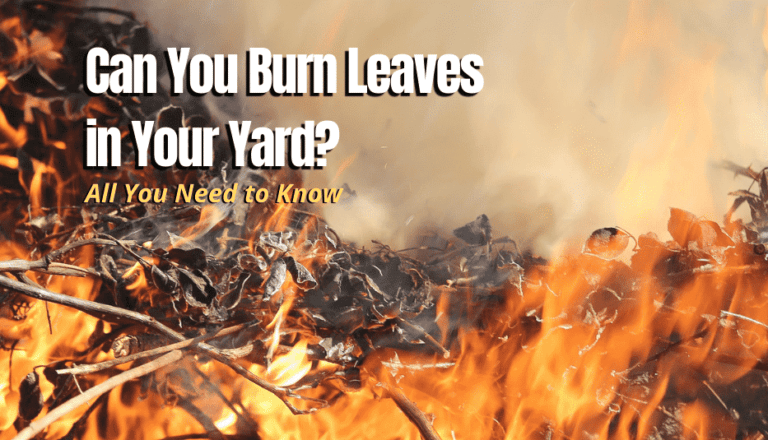 Can You Burn Leaves in Your Yard? - The Backyard Pros
