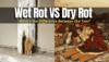 Wet Rot Vs Dry Rot | What’s the Difference? - The Backyard Pros