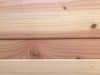 10 Best Rot Resistant Woods - The Backyard Pros