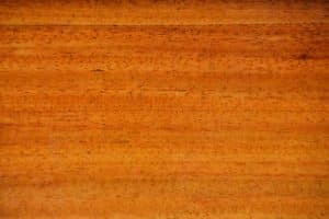 10 Best Rot Resistant Woods - The Backyard Pros