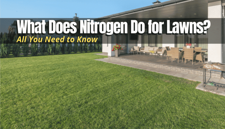 What Does Nitrogen Do for Lawns? (All You Need to Know) - The Backyard Pros