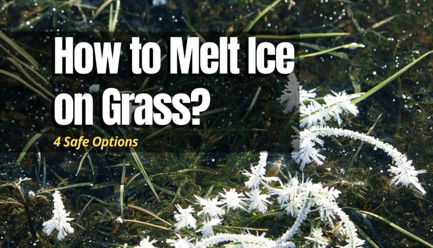 How to Melt Ice on Grass? (4 Safe Options) - The Backyard Pros