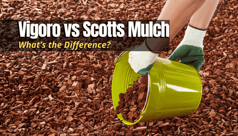 Vigoro vs Scotts Mulch | What’s the Difference? - The Backyard Pros