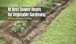 10 Best Soaker Hoses for Vegetable Gardening in 2025 - The Backyard Pros
