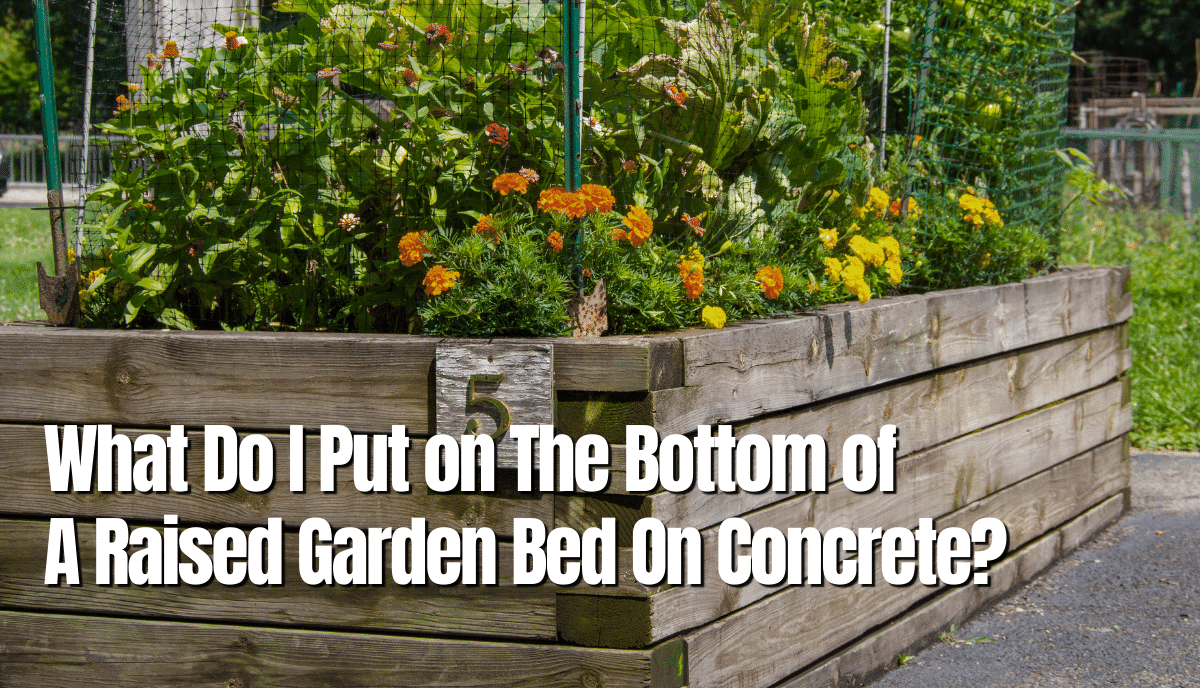 What Do I Put On The Bottom Of A Raised Garden Bed On Concrete The