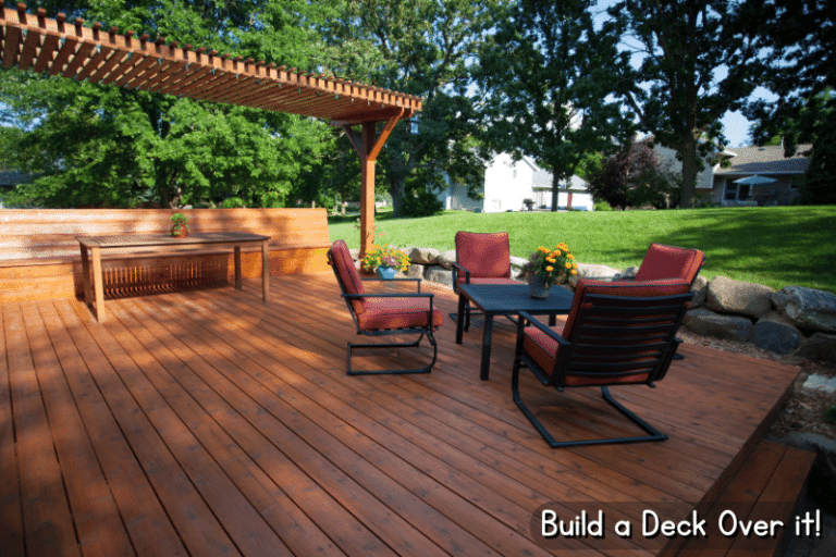 How to Landscape Over Concrete and Pavement (8 Ways) - The Backyard Pros