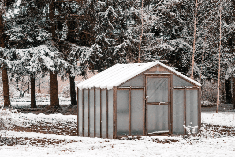 21 Types of Greenhouse Structures (The Ultimate Guide) - The Backyard Pros