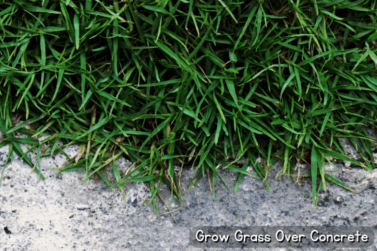 How to Landscape Over Concrete and Pavement (8 Ways) - The Backyard Pros