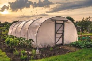 21 Types of Greenhouse Structures (The Ultimate Guide) - The Backyard Pros