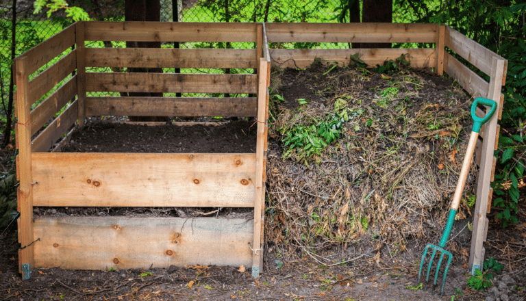 13 Cheap Ways to Make Your Yard Look Better - The Backyard Pros