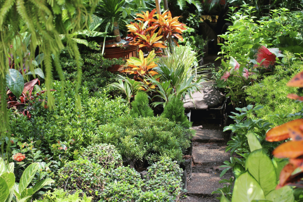 9 Cheap Ways to Landscape Your Backyard - The Backyard Pros