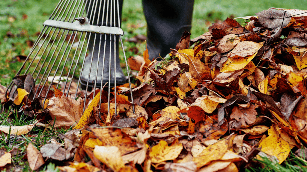 Fall Composting: How to Make the Most of Autumn Leaves - The Backyard Pros