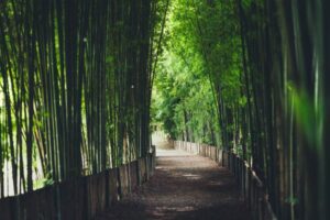 20 Stunning Backyard Pathway Ideas - The Backyard Pros