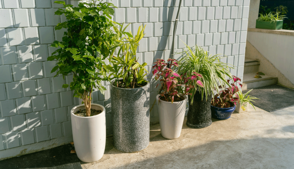 15 Best Plants That Thrive in Pots (No Garden Needed!) - The Backyard Pros
