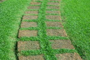 25 Backyard Artificial Grass Ideas for an Effortless Lawn - The ...