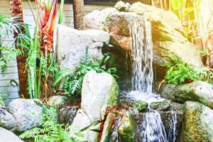 9 Backyard Water Features That Your Dog Will Love - The Backyard Pros