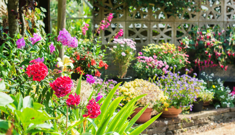25 Stunning Backyard Flowers That Make Your Garden Pop with Color - The ...