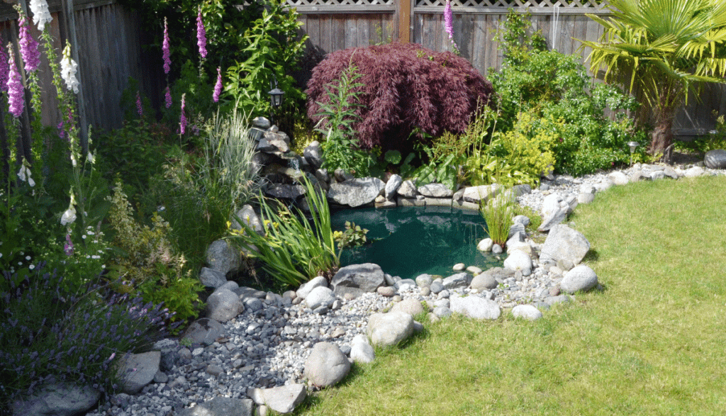 12 Cheap Pond Landscaping Ideas That Look Expensive - The Backyard Pros